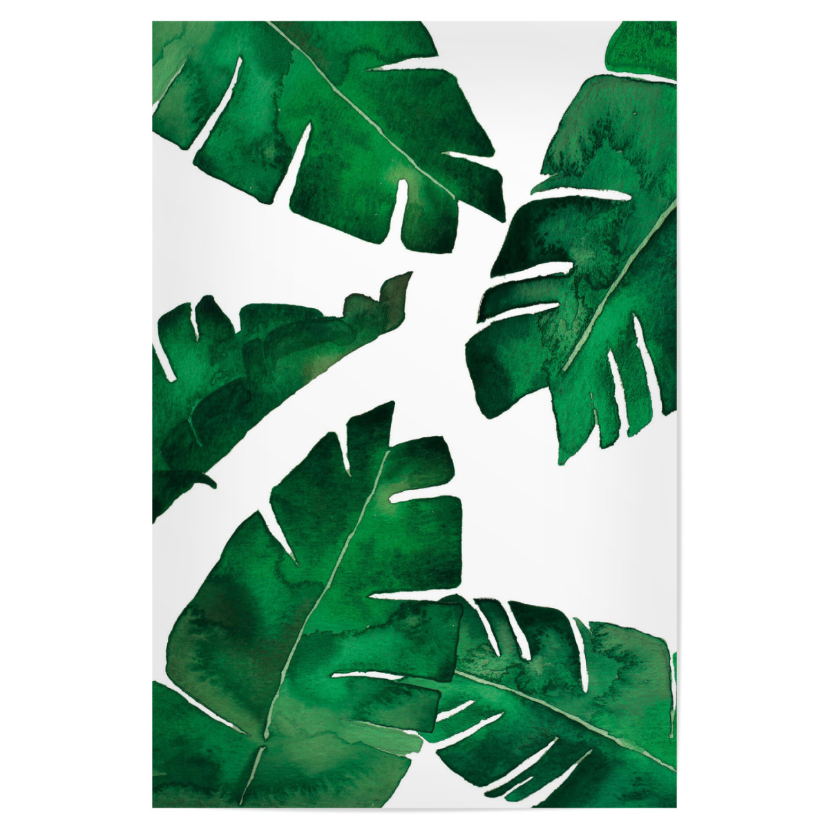 Banana Leaf Als Poster Bei Artboxone Kaufen